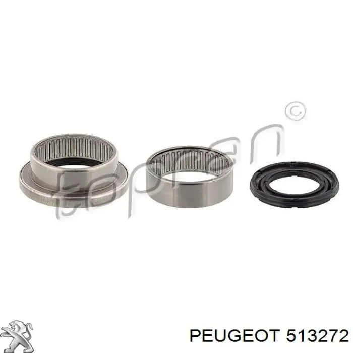 513272 Peugeot/Citroen rodamiento agujas, cuerpo eje trasero