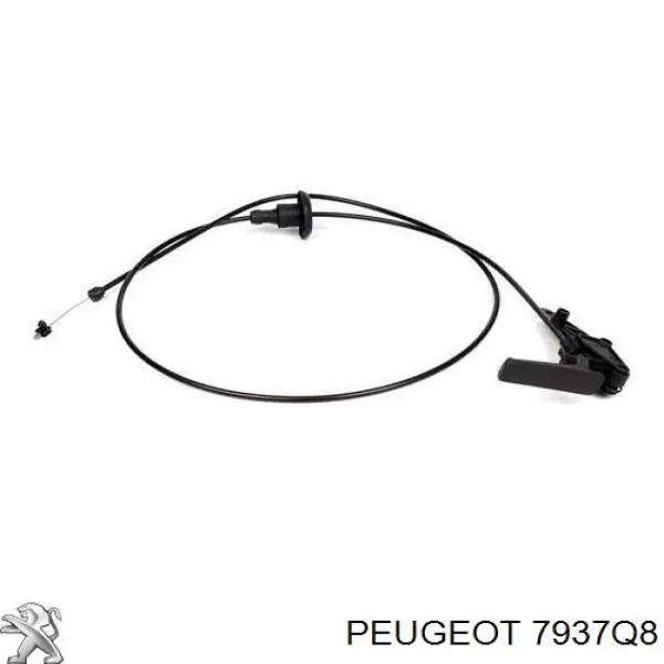 7937Q8 PEUGEOT/CITROEN Cable de capó del motor