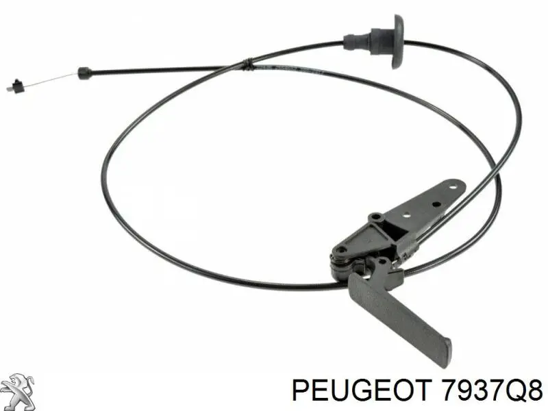 7937Q8 PEUGEOT/CITROEN Cable de capó del motor