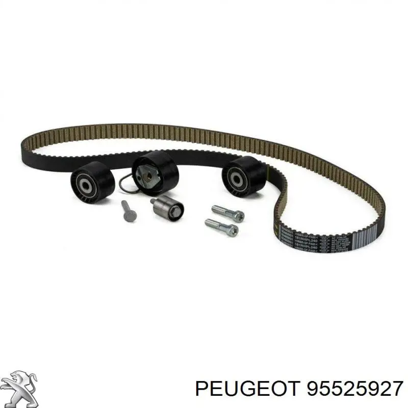 95525927 Peugeot/Citroen kit de correa de distribución comprar barato
