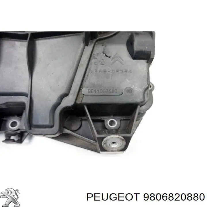 9806820880 PEUGEOT/CITROEN Tapa de balancines