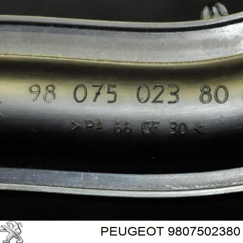 9807502380 Peugeot/Citroen comprar barato