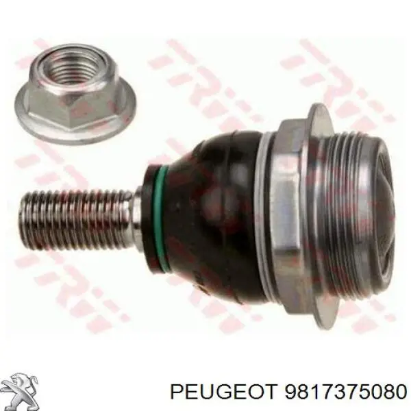 9817375080 PEUGEOT/CITROEN Rótula de suspensión inferior