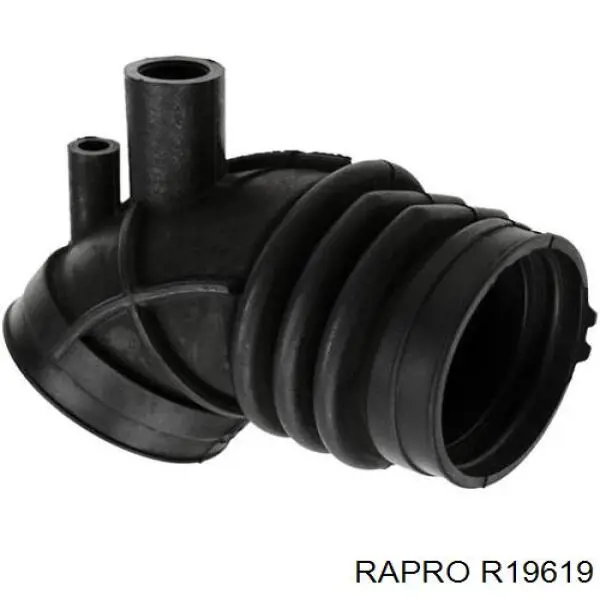 R19619 RAPRO tubo flexible de aspiración, cuerpo mariposa