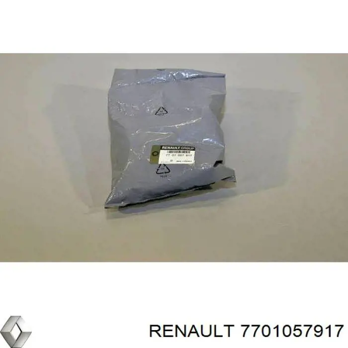 7701057917 RENAULT (RVI) Junta anular, cavidad bujía