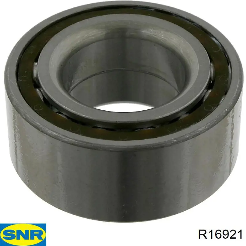r169.21 SNR cojinete de rueda trasero