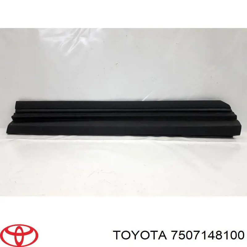 Moldura de la puerta delantera derecha de coche comprar online a un ...