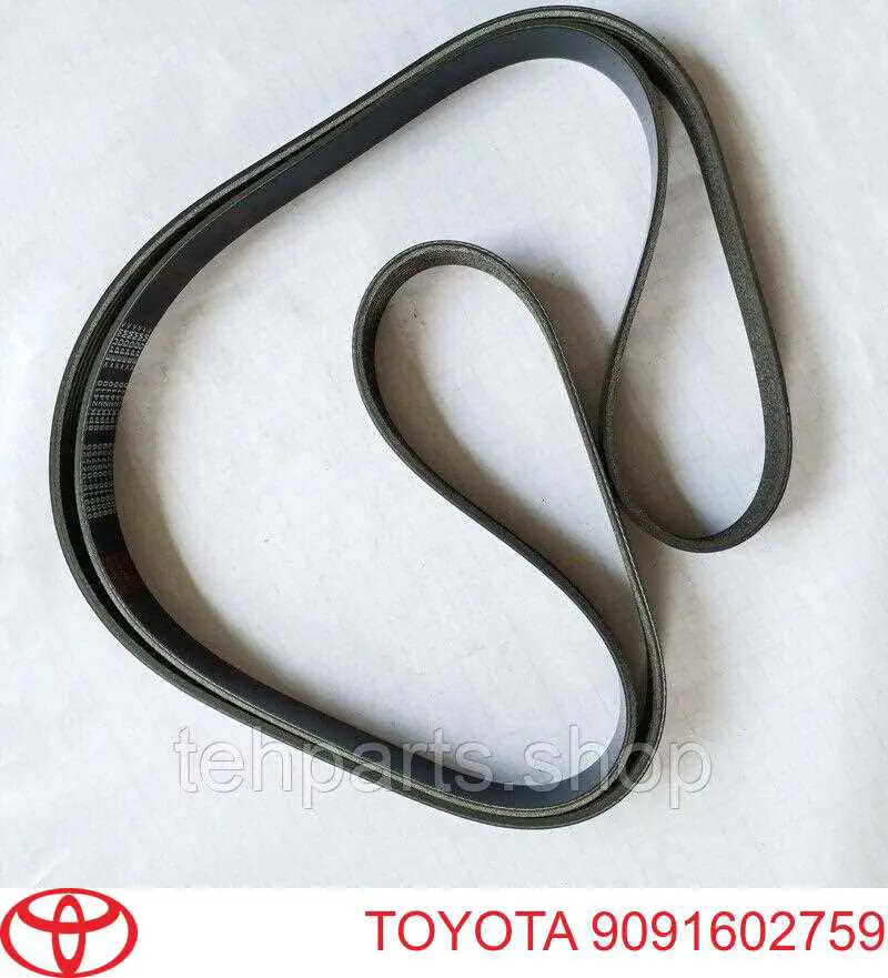 9091602759 Toyota correa trapezoidal