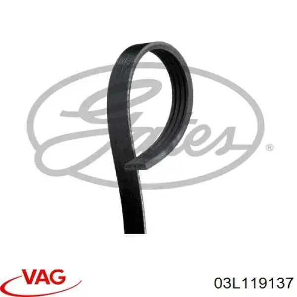 03L119137 VAG correa trapezoidal