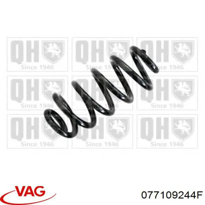 077109244F VAG Polea inversión / guía, correa poli V