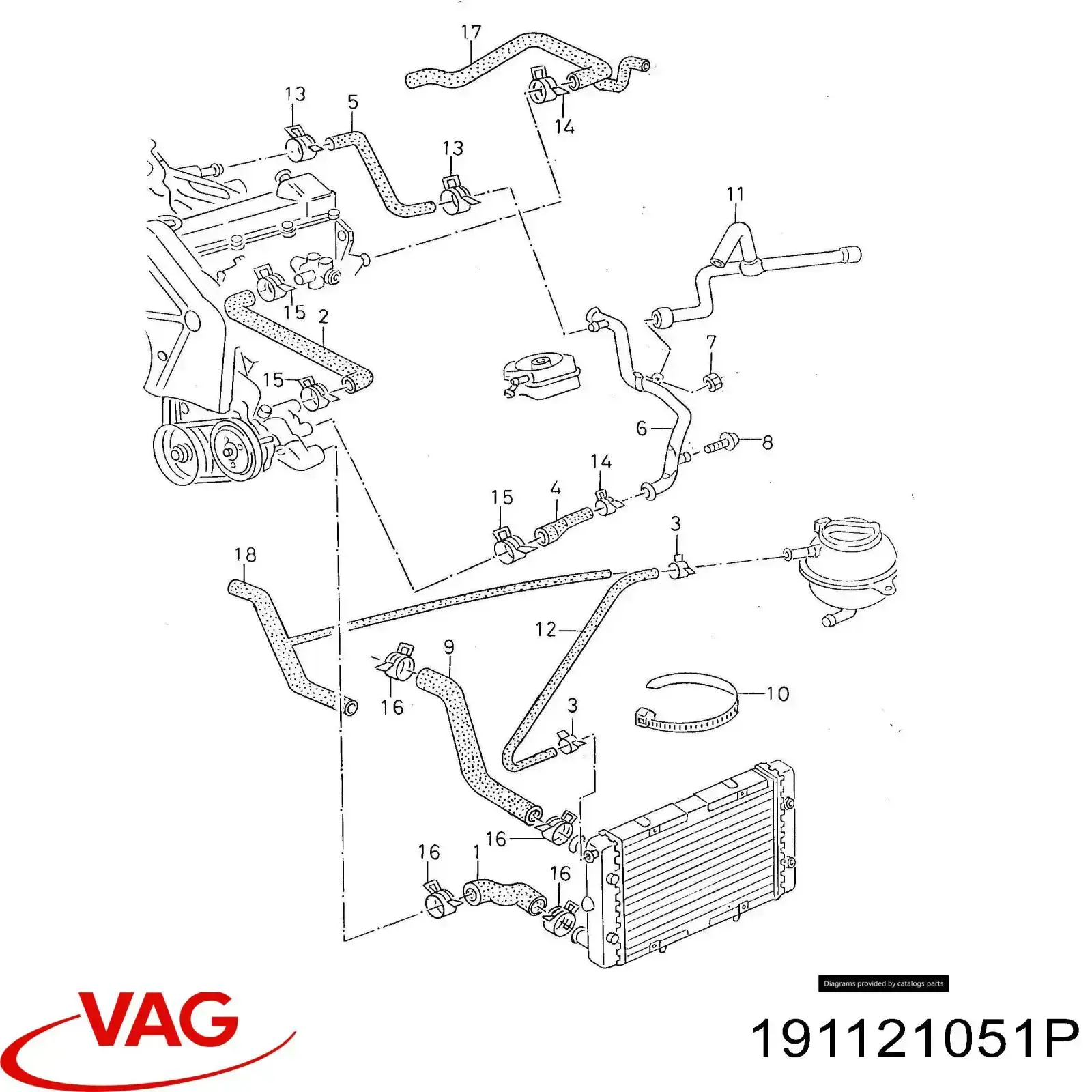 191121051P VAG manguera refrigerante para radiador inferiora