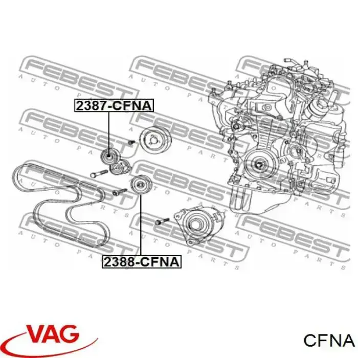 CFNA VAG motor completo