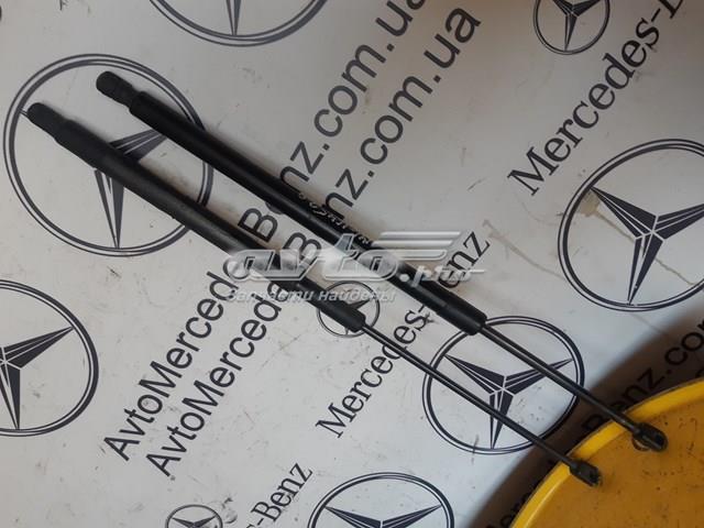 A1648800029 Mercedes muelle neumático,capó de motor izquierdo