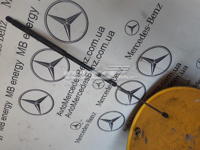 A1648800129 Mercedes muelle neumático,capó de motor derecho