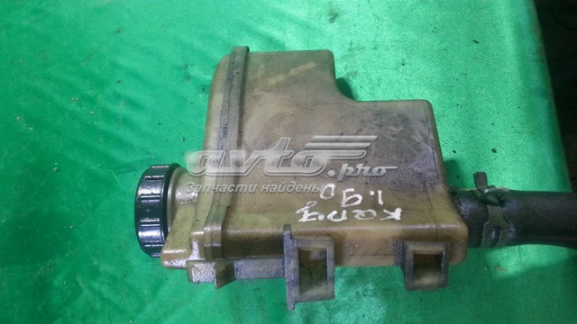 Depósito de bomba de dirección hidráulica para Renault Kangoo 2007 año