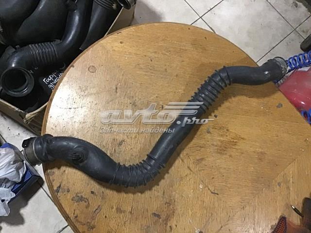 11617797483 BMW tubo flexible de aire de sobrealimentación izquierdo