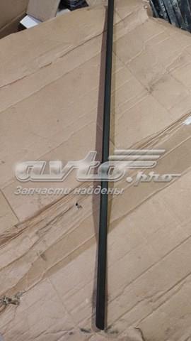 51137158534 BMW moldura de puerta delantera derecha