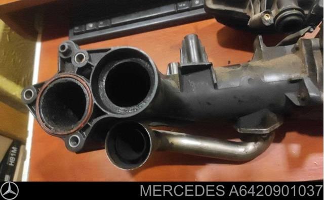 A6420901037 Mercedes tubo flexible de aspiración, cuerpo mariposa