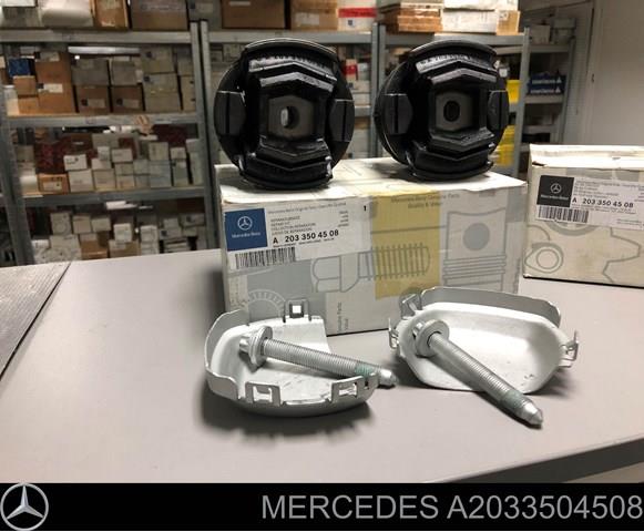 A2033510142 Mercedes suspensión, cuerpo del eje trasero