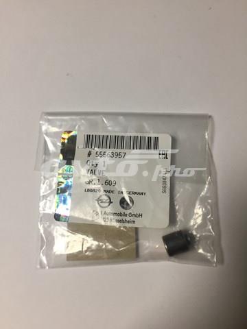 55563957 Opel válvula de alivio de presión de culata