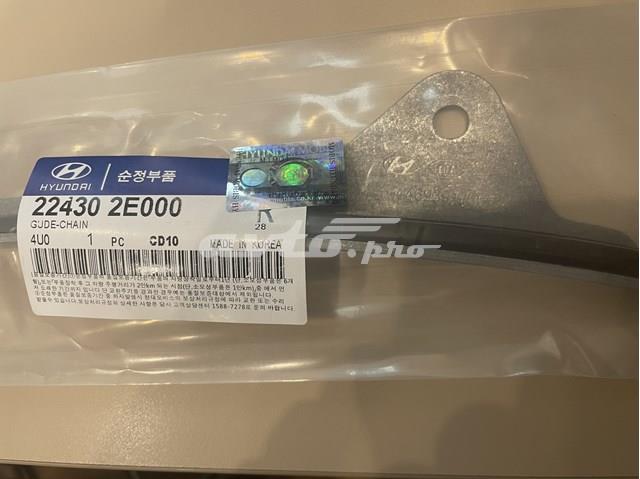 244302E000 Hyundai/Kia carril de deslizamiento, cadena de distribución ...