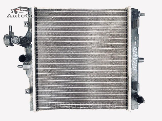 2531007000 Hyundai/Kia radiador, refrigeración del motor