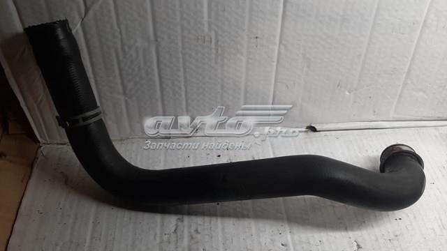 9065010382 Mercedes manguera refrigerante para radiador inferiora