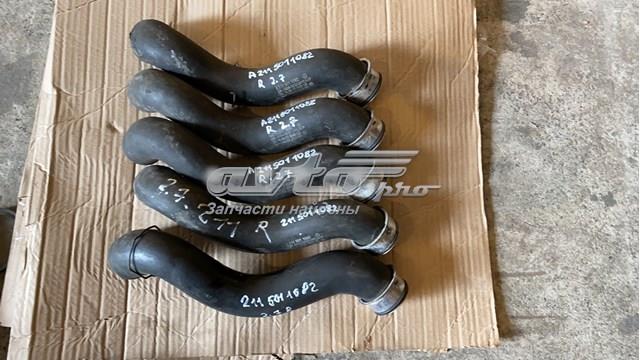 2115011082 Mercedes manguera refrigerante para radiador inferiora