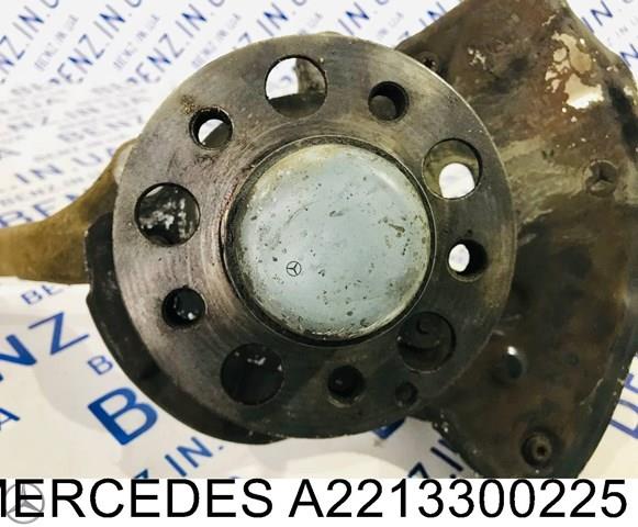 A2213300225 Mercedes cubo delantero