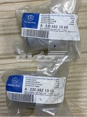 A2203521365 Mercedes suspensión, cuerpo del eje trasero