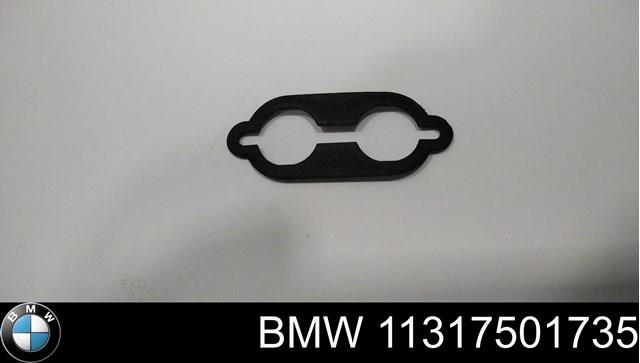 Junta de el tensor de la cadena de distribucion para BMW X5 (E53)