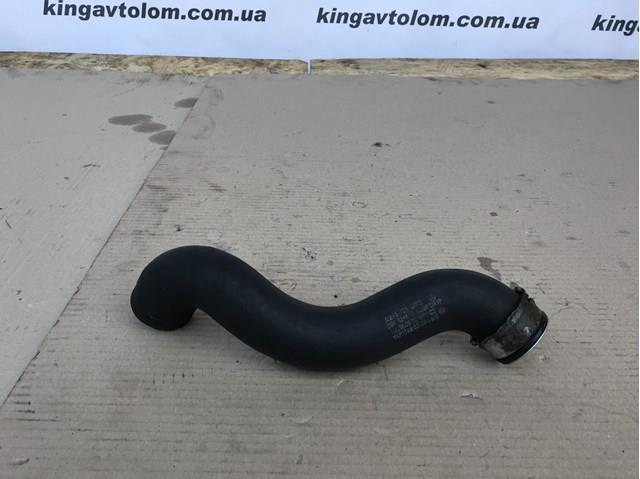 2115011082 Mercedes manguera refrigerante para radiador inferiora