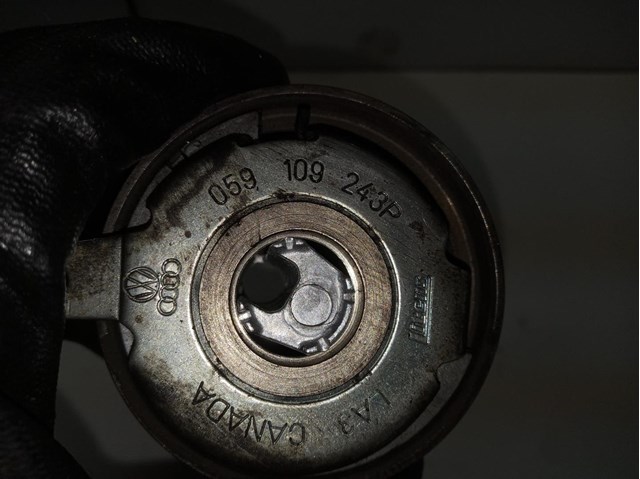 059 109 243 N VAG rodillo, cadena de distribución