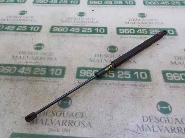 5045ASL Polcar muelle neumático, capó de motor izquierdo