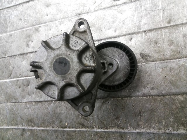 6462000570 Mercedes tensor de correa, correa poli v