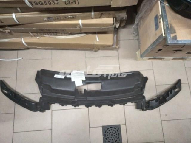 9673855880 Peugeot/Citroen ajuste panel frontal (calibrador de radiador ...