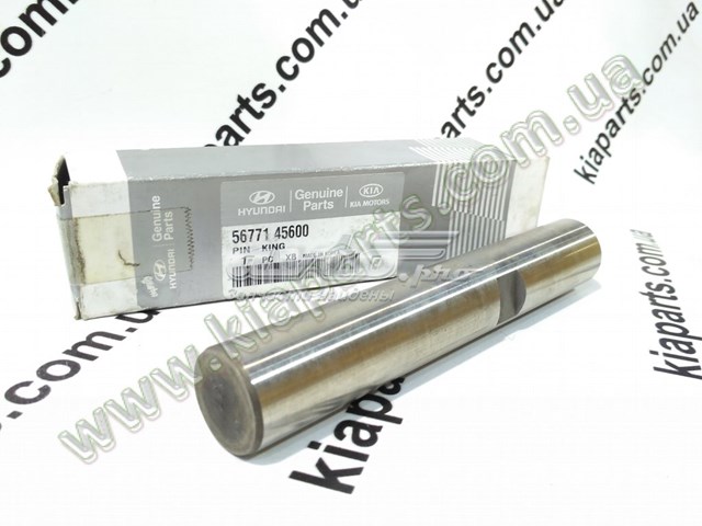 5677145600 Hyundai/Kia juego de reparación, pivote mangueta