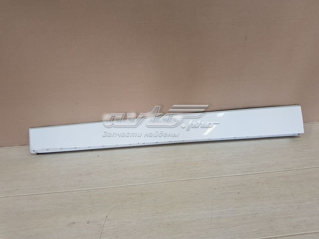 Moldura de puerta delantera derecha inferior de coche comprar online a ...