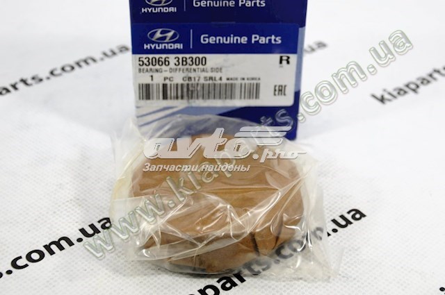 530663B300 Hyundai/Kia cojinete de diferencial, eje trasero