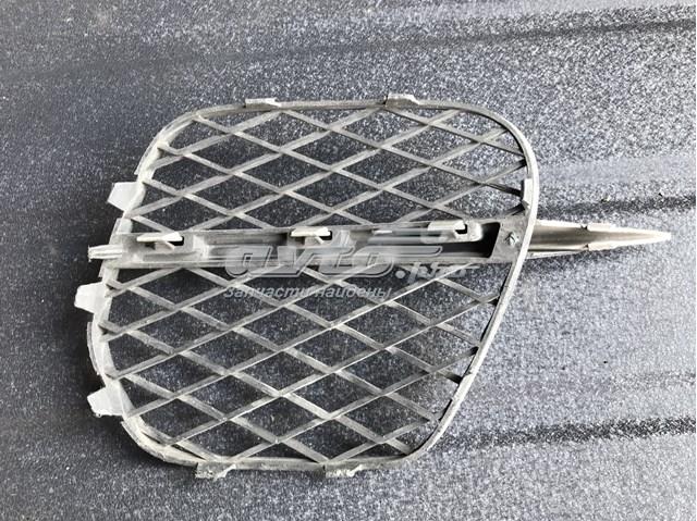 51117222847 BMW moldura de rejilla parachoques delantero izquierda
