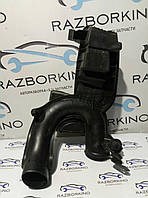 165854265R Renault (RVI) resonador, filtro de aire