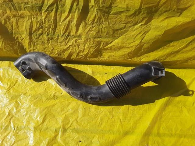 165556691R Renault (RVI) tubo flexible de aspiración, entrada del ...
