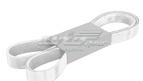 22275091 Volvo correa trapezoidal