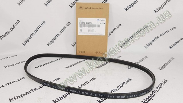 252122G660 Hyundai/Kia correa trapezoidal