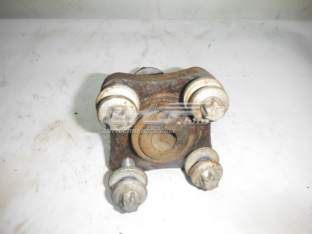 430426964R RENAULT (RVI) Muñón del eje, suspensión de rueda, trasero
