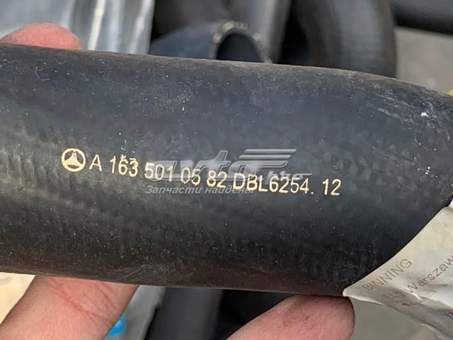 A1635010582 Mercedes manguera refrigerante para radiador inferiora