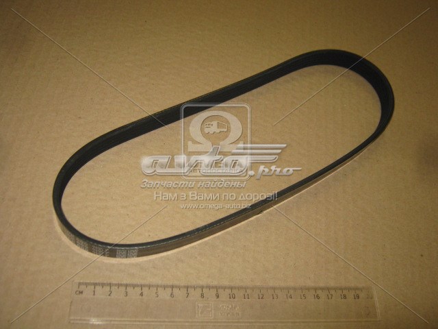10130AA020 Subaru correa trapezoidal