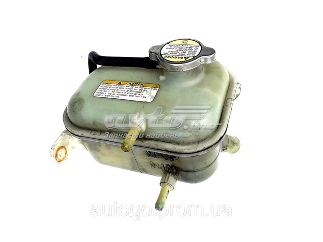 254312H100 Hyundai/Kia vaso de expansión