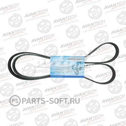 4PK880 SUN correa trapezoidal