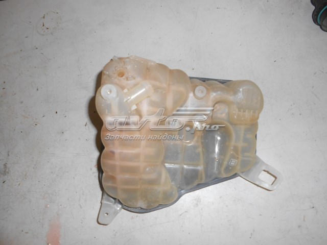 C2Z22872 Jaguar botella de refrigeración